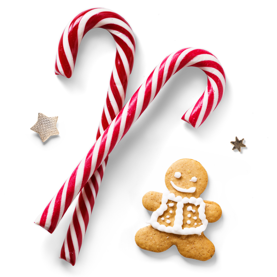 Meet Santa’s New Helper: AI Powered Chatbots | OpenDialog